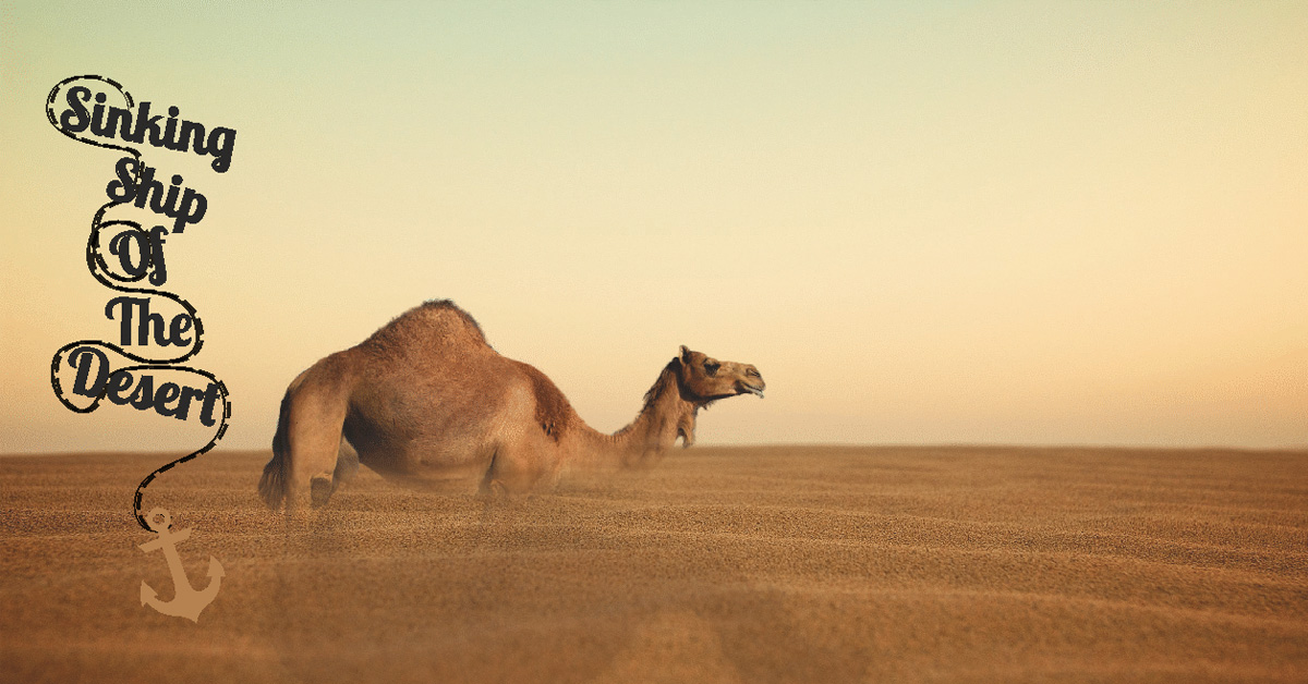 Camel – The Sinking Ship Of The Desert - The Inner World